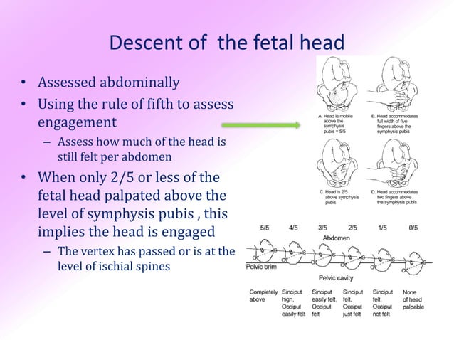 Practical partography | PDF | Pregnancy | Reproductive Health