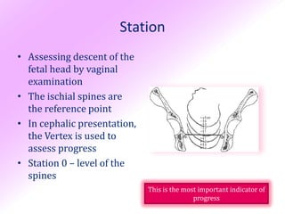 Practical partography | PDF