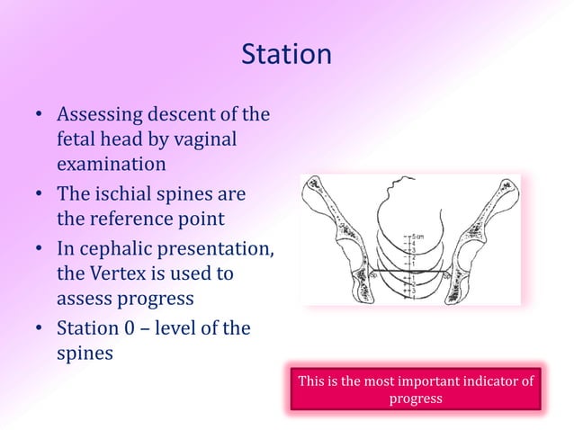 Practical partography | PDF | Pregnancy | Reproductive Health