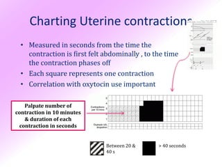 Practical partography | PDF