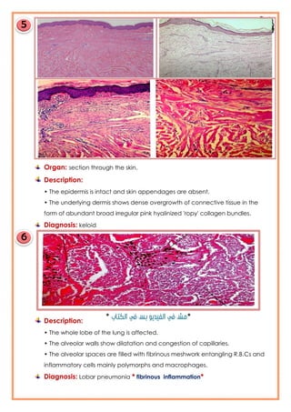 Practical pathology | PDF