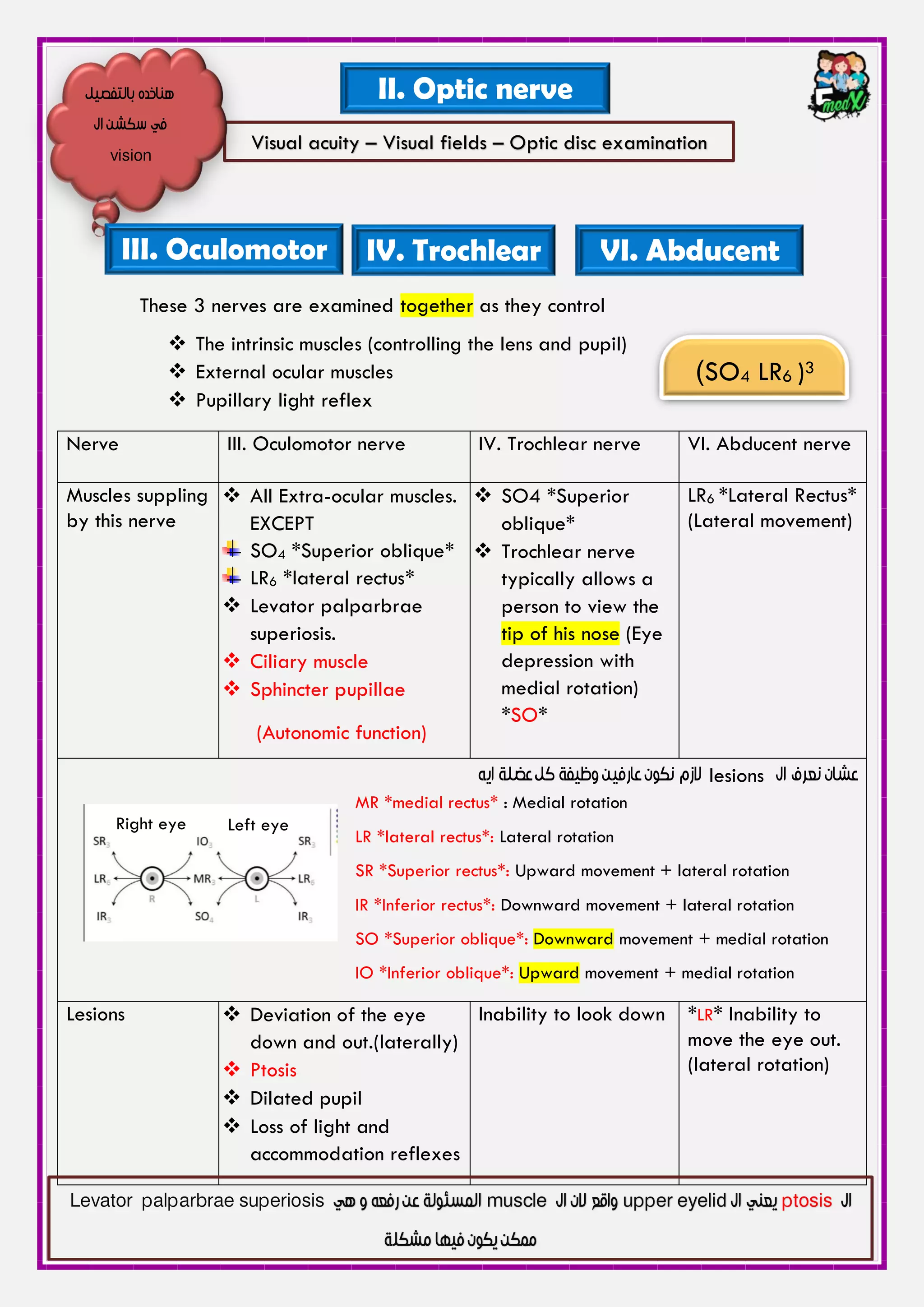 Practical physiology cns | PDF