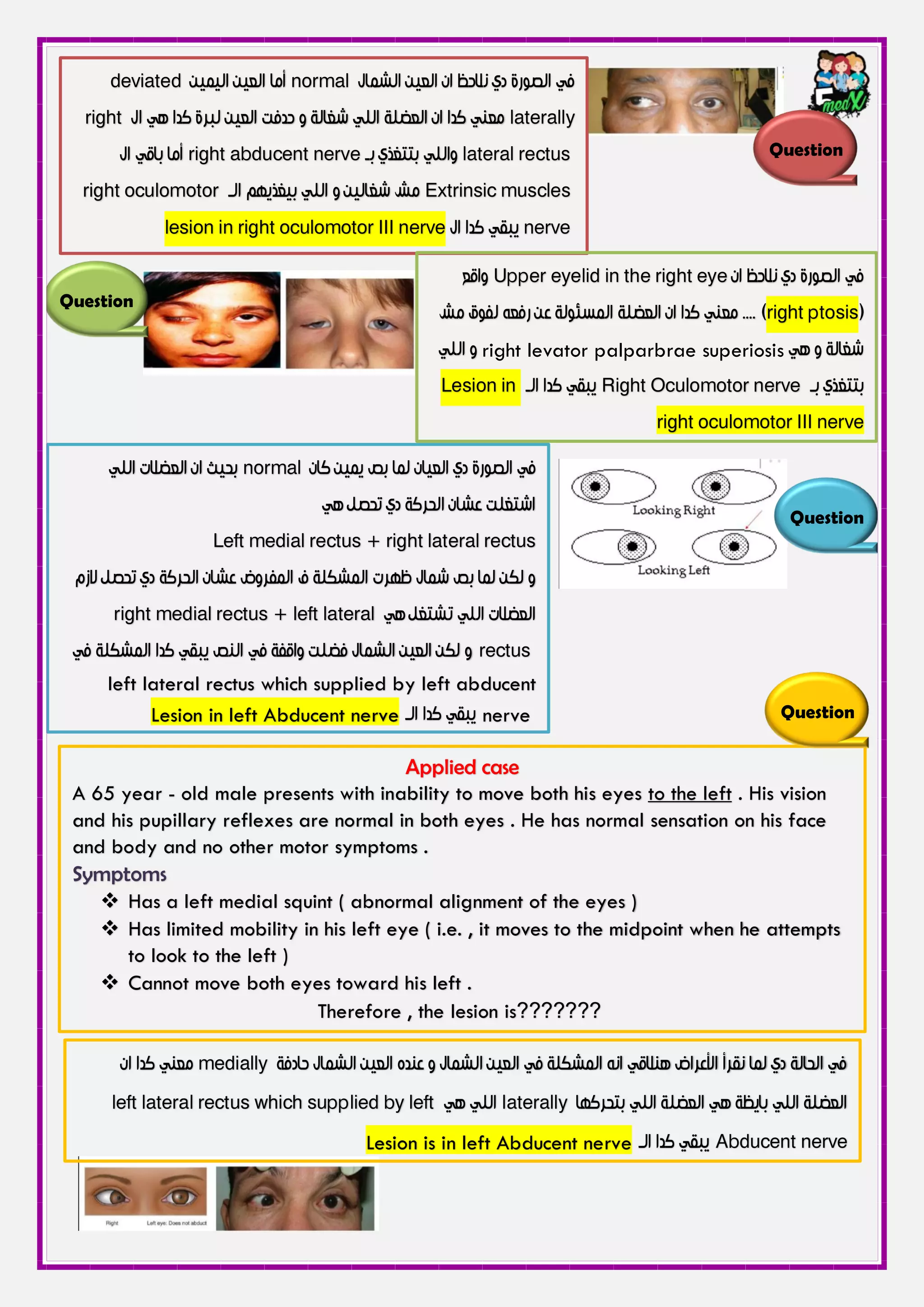Practical physiology cns | PDF