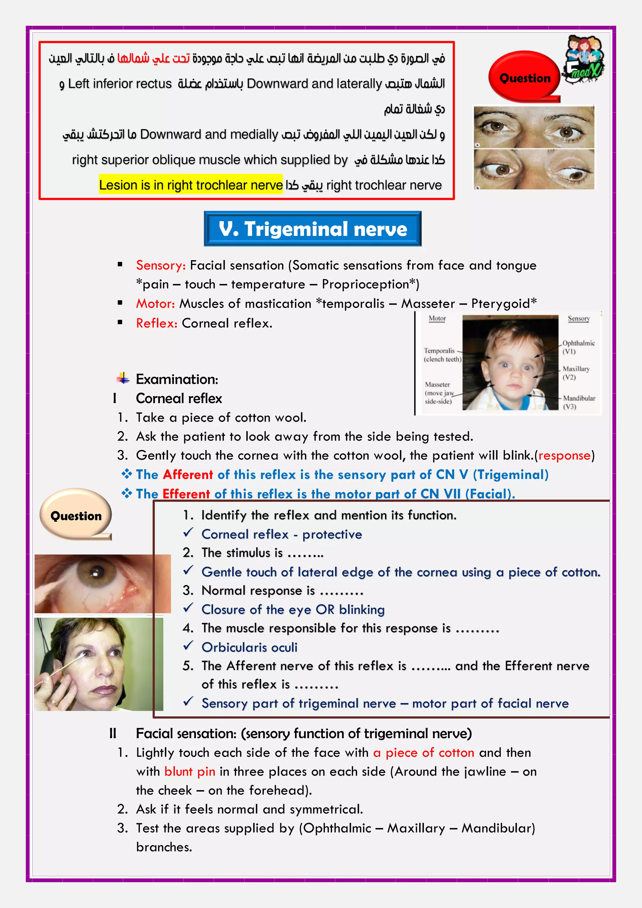 Practical physiology cns | PDF