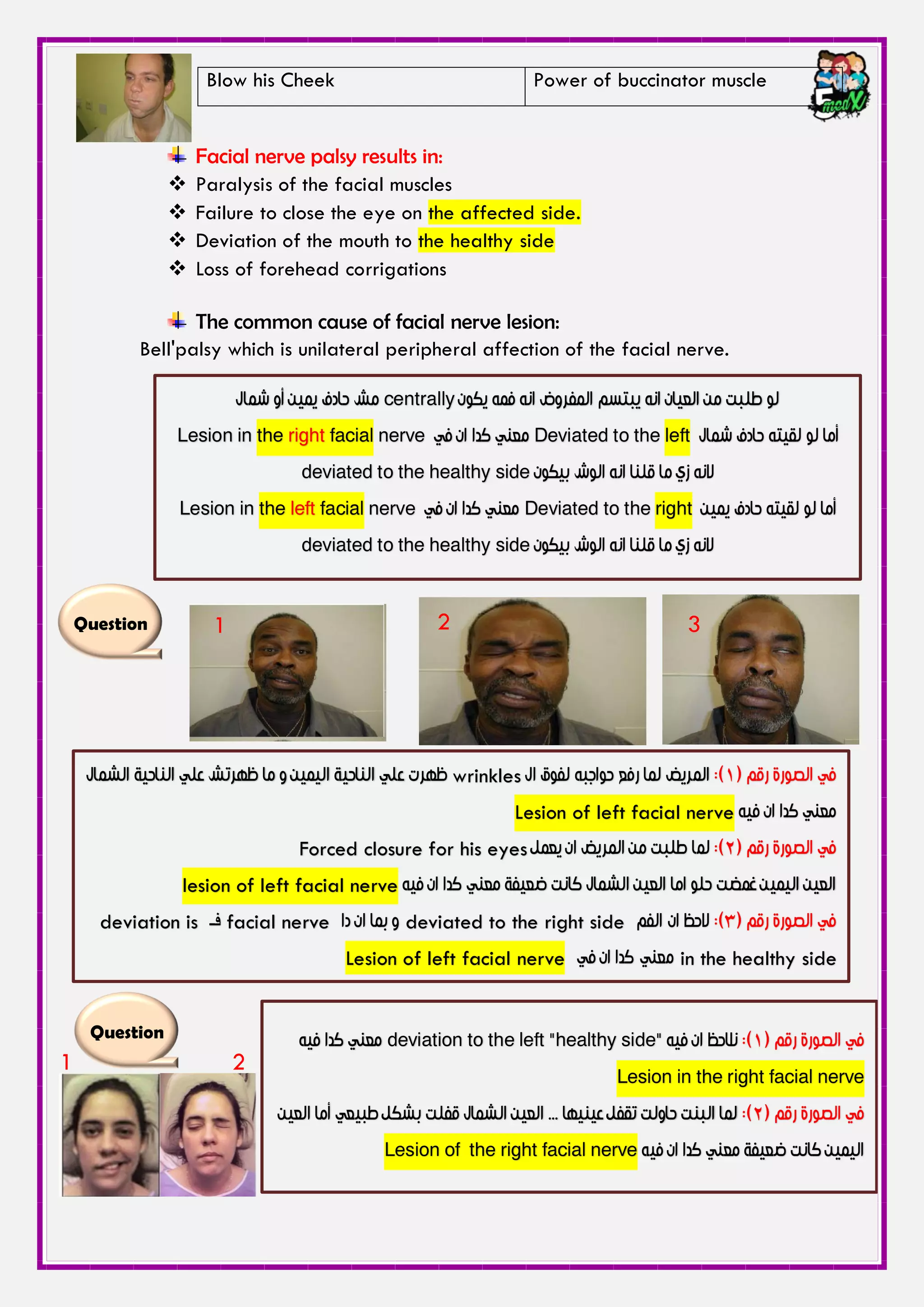 Practical physiology cns | PDF