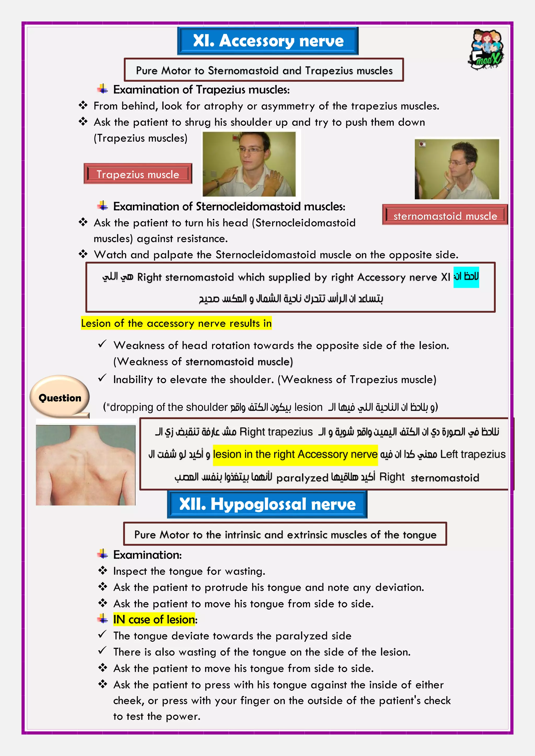 Practical physiology cns | PDF