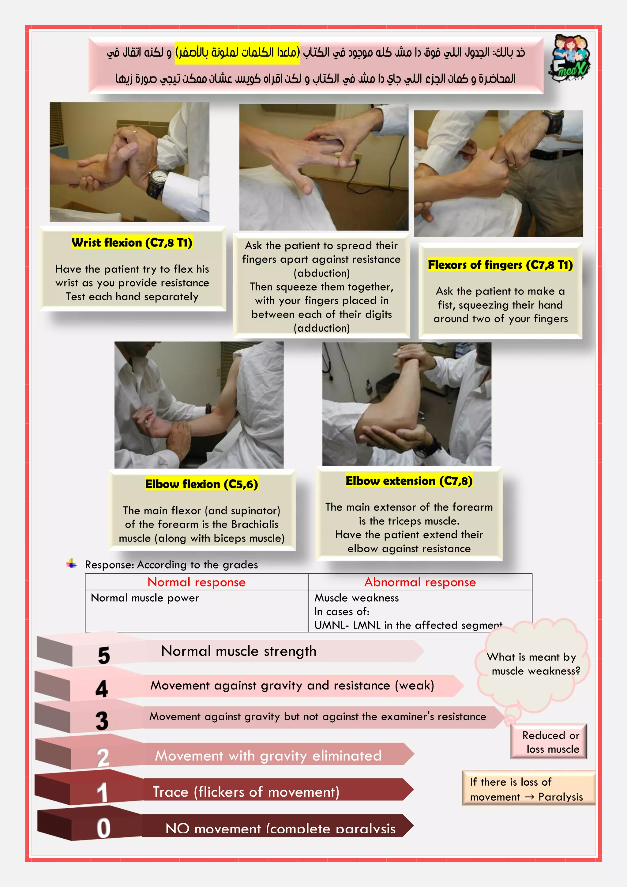 Practical physiology cns | PDF
