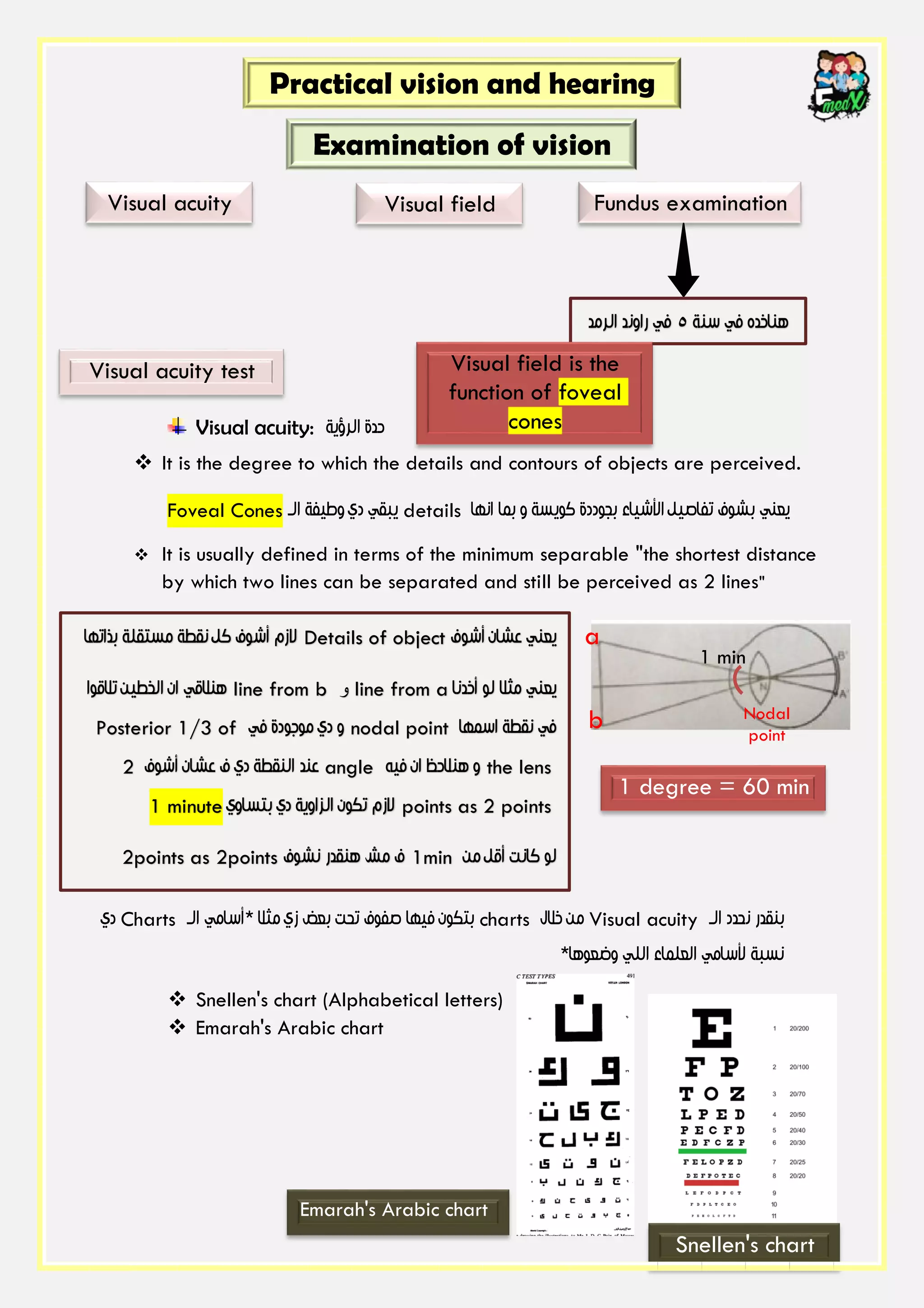 Practical physiology cns | PDF