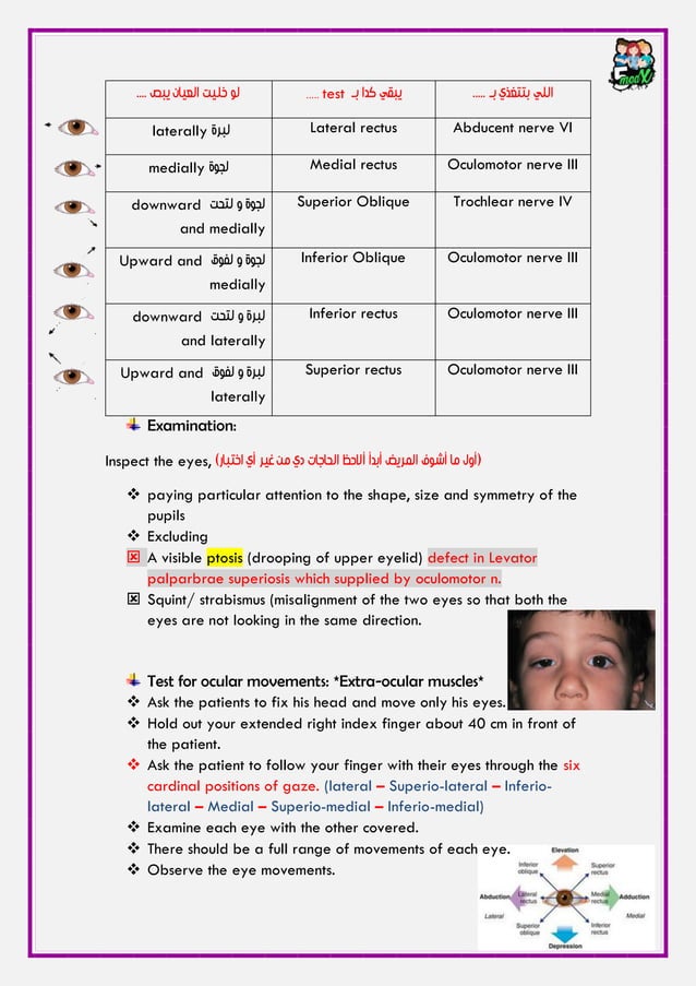 Practical physiology cns | PDF