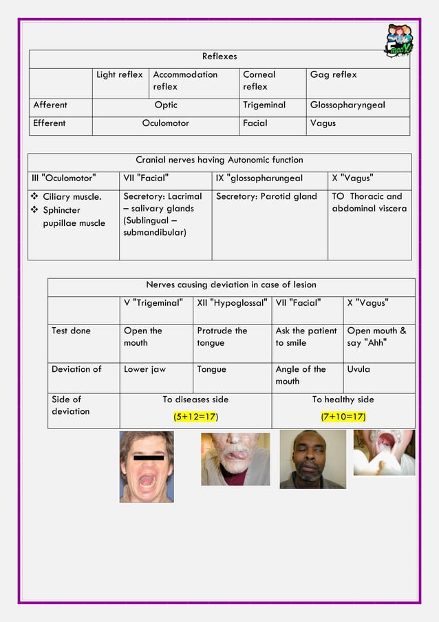Practical physiology cns | PDF