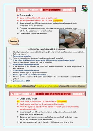Practical physiology cns | PDF