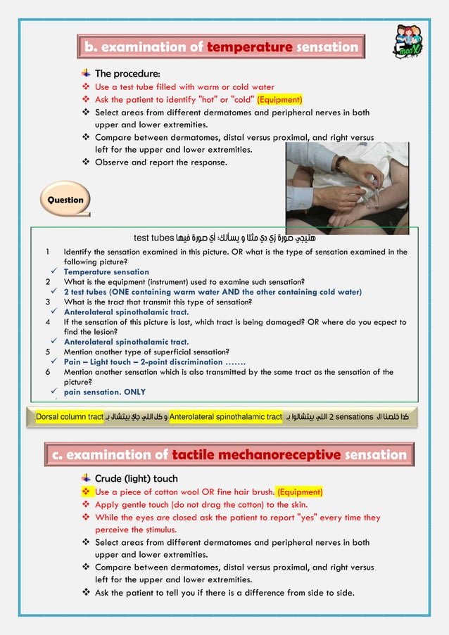Practical physiology cns | PDF