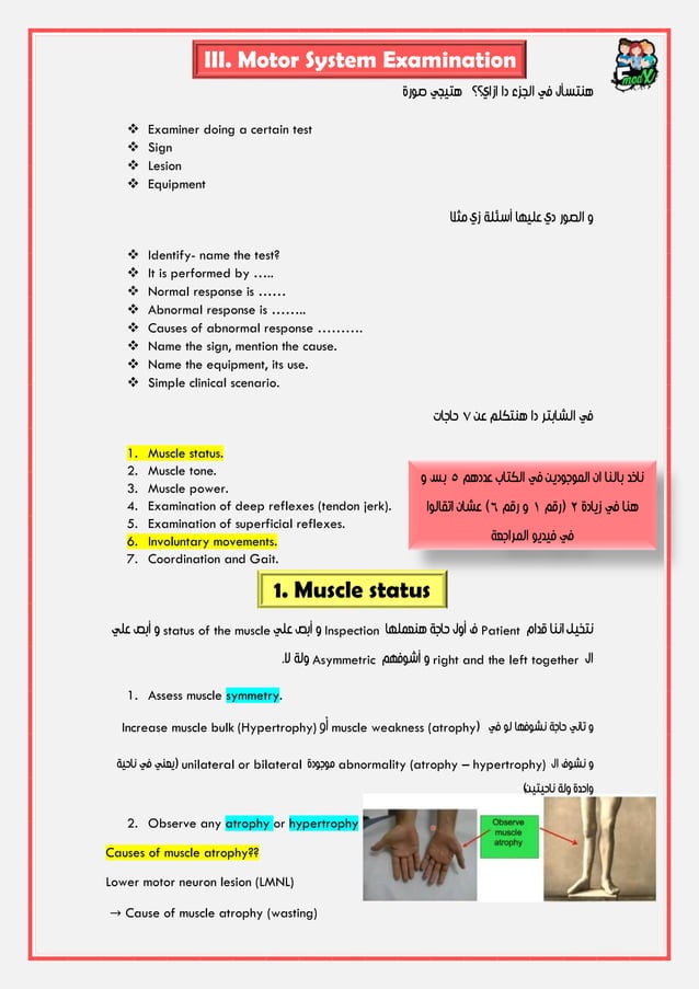 Practical physiology cns | PDF