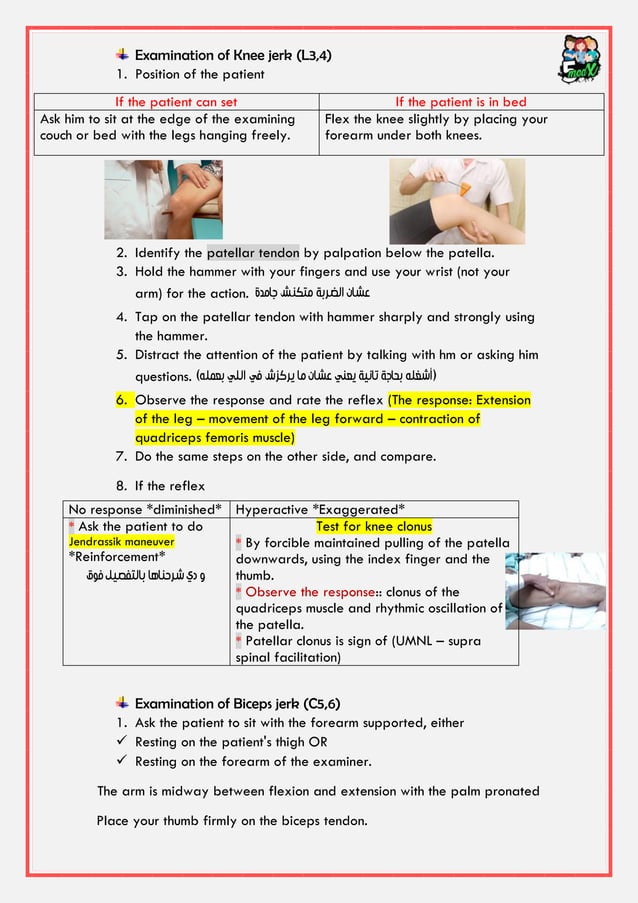 Practical physiology cns | PDF