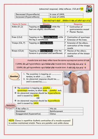 Practical physiology cns | PDF