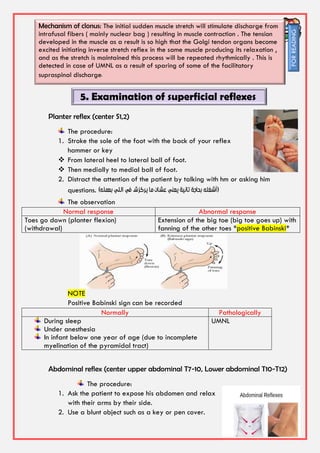 Practical physiology cns | PDF