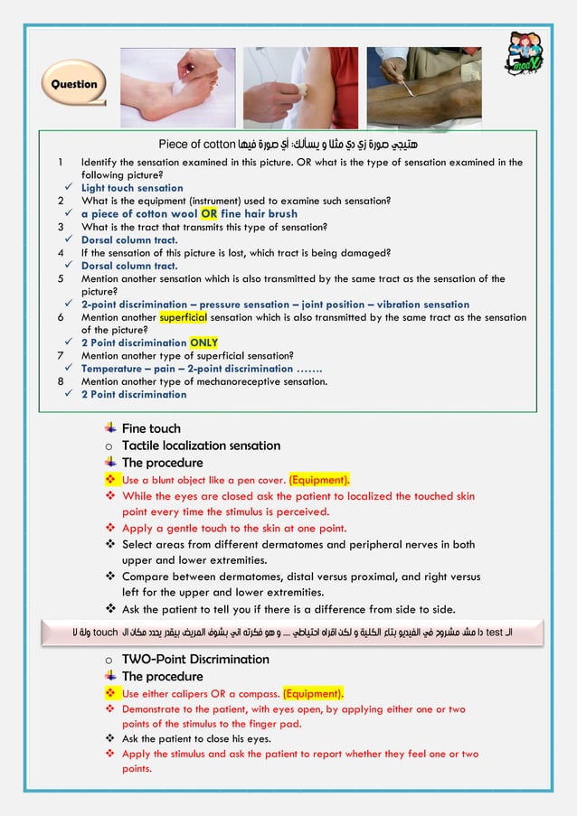Practical physiology cns | PDF
