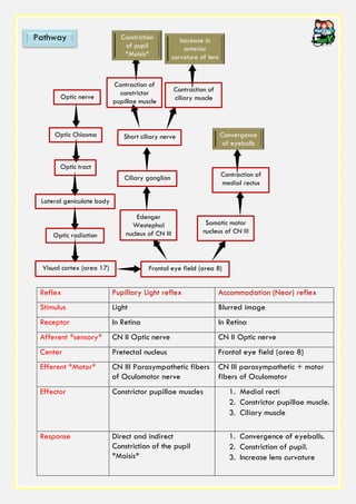 Practical physiology cns | PDF