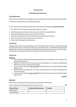 Practical plant tissues | DOCX