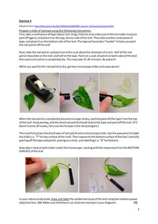 Practical plant tissues | DOCX