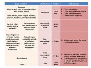 Practical rabies | PPTX