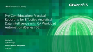 Practical Reporting for Effective Analytical Data Intelligence with CA ...