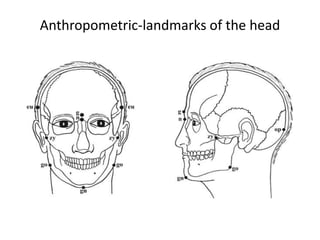 practicals- Anthropology.ppt