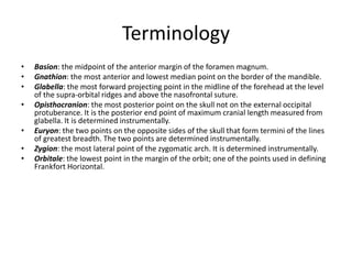 practicals- Anthropology.ppt