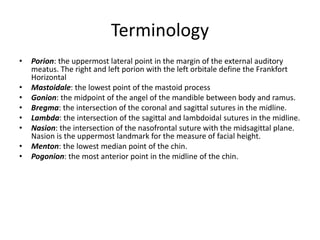 practicals- Anthropology.ppt
