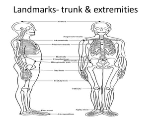 practicals- Anthropology.ppt