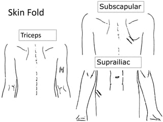 practicals- Anthropology.ppt | Death, Injury, or Military Conflict ...