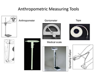 practicals- Anthropology.ppt