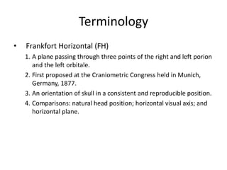 practicals- Anthropology.ppt