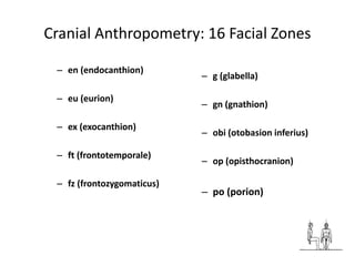 practicals- Anthropology.ppt | Death, Injury, or Military Conflict ...