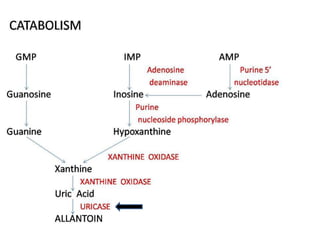 Practical_ Serum Uric acid estimation.pptx