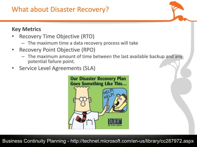 Practical SharePoint 2010 Architecture Planning | PPTX | Databases | Computer Software and ...