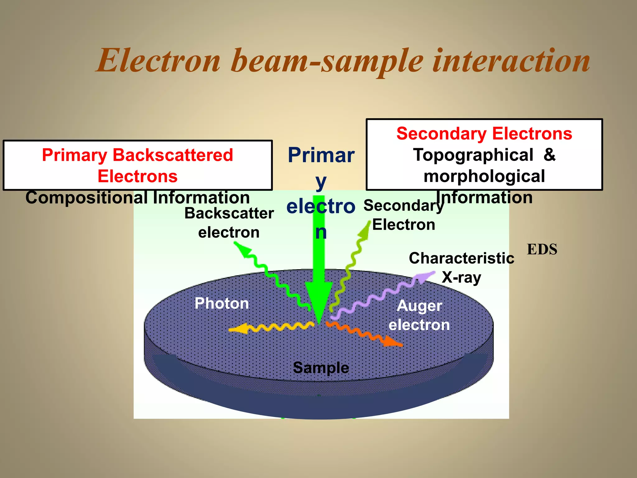 Practical skills in scanning electron microscope | PPTX