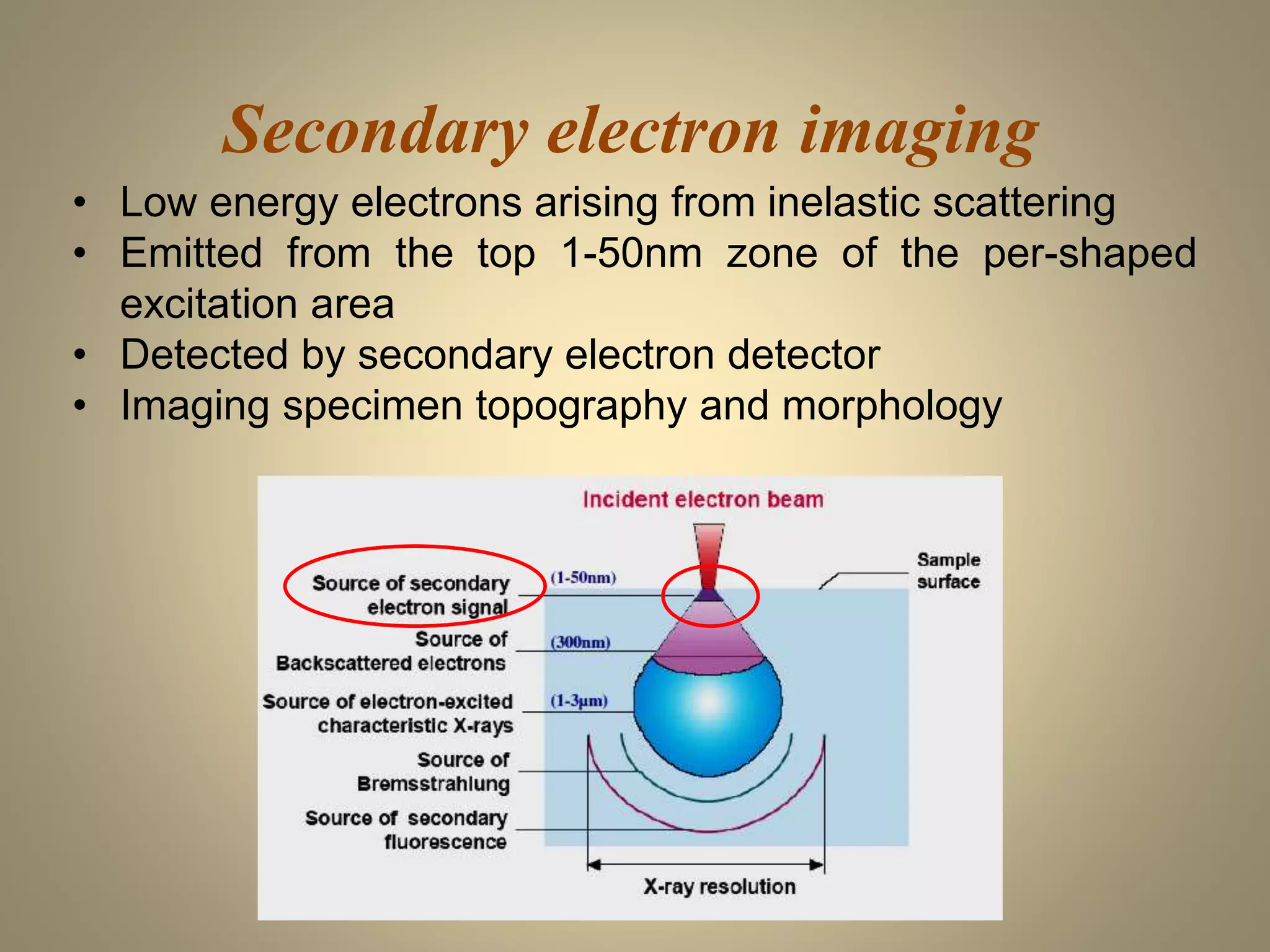 Practical skills in scanning electron microscope | PPTX