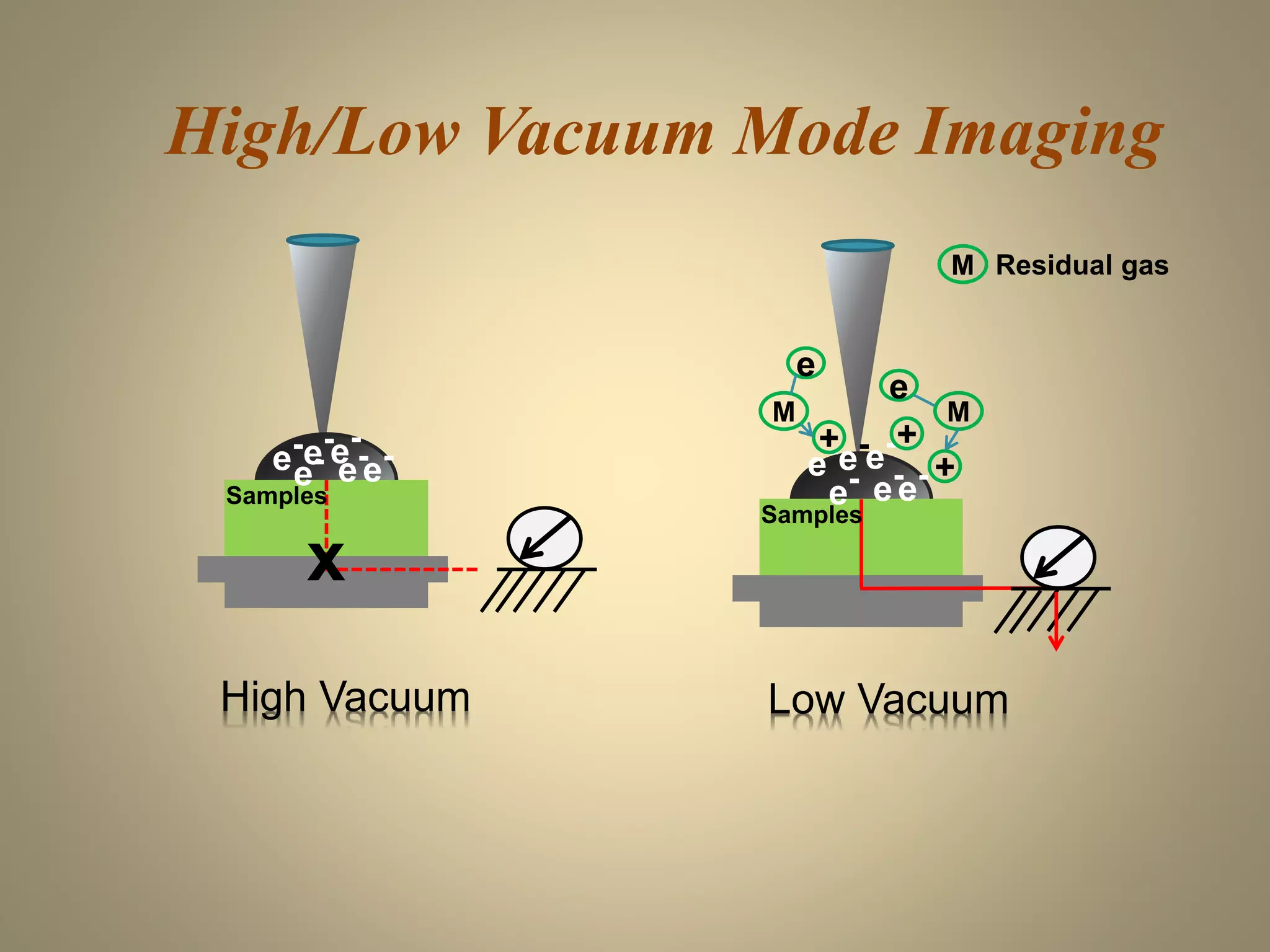 Practical skills in scanning electron microscope | PPTX