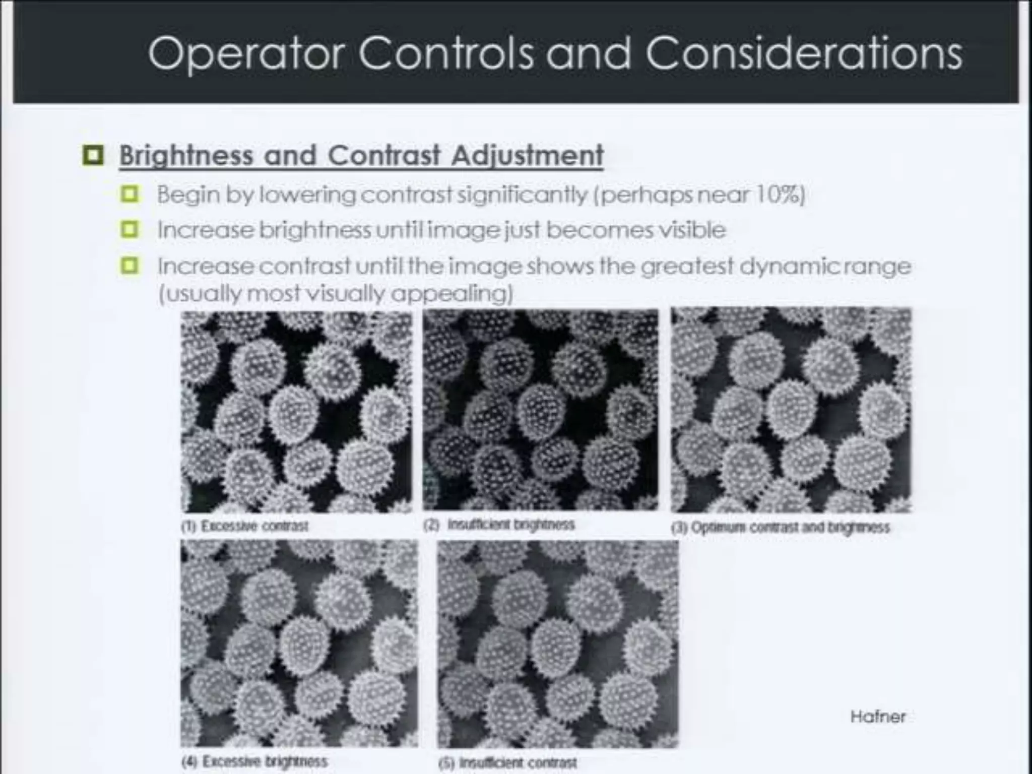 Practical skills in scanning electron microscope | PPTX