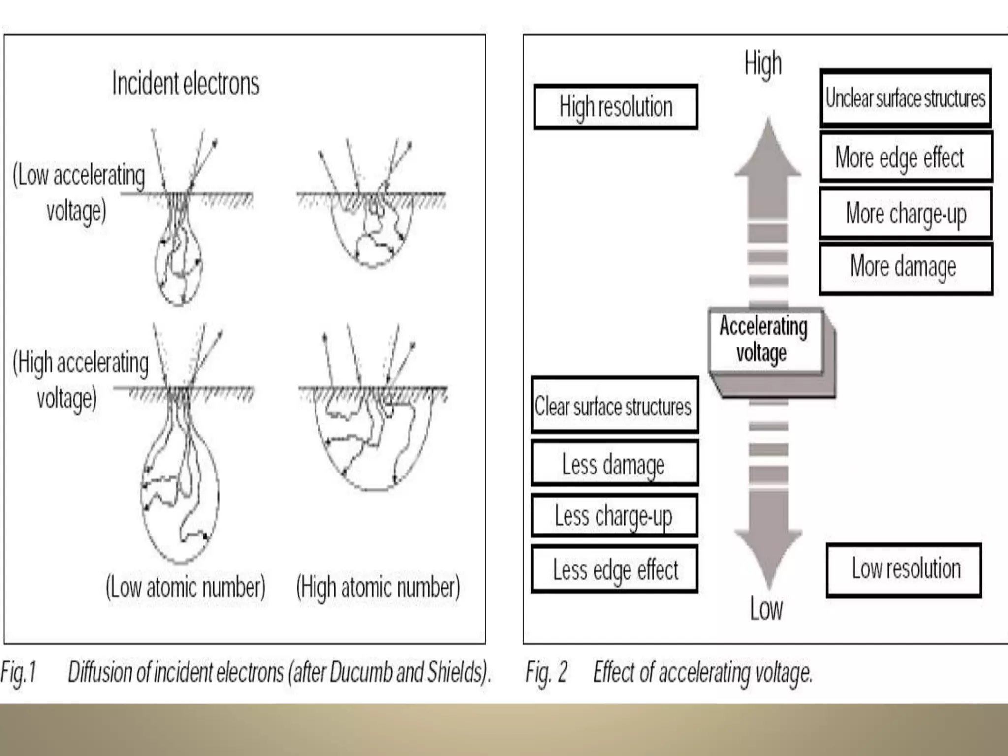 Practical skills in scanning electron microscope | PPTX
