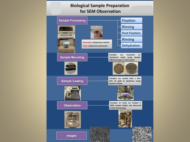 Practical skills in scanning electron microscope | PPTX