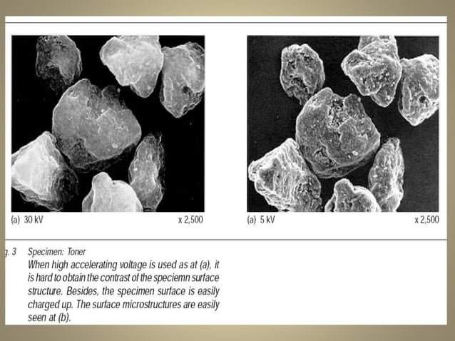 Practical skills in scanning electron microscope | PPTX