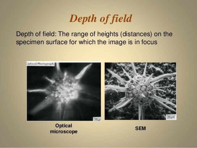 Practical skills in scanning electron microscope