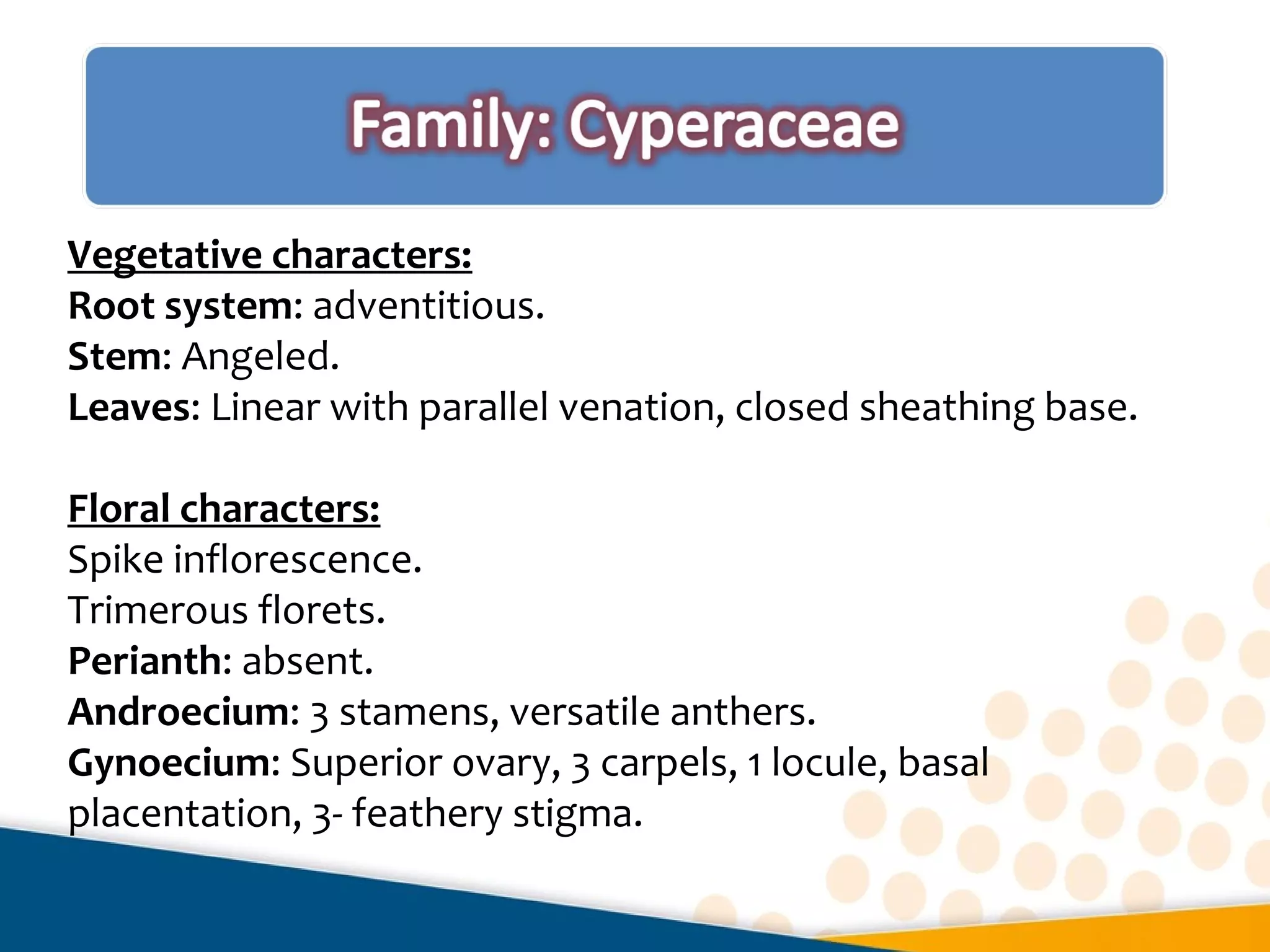 Practical flowering plant taxonomy all families | PPT