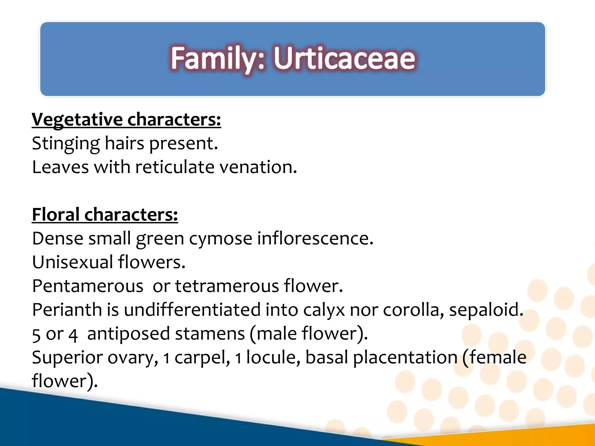 Practical flowering plant taxonomy all families | PPT