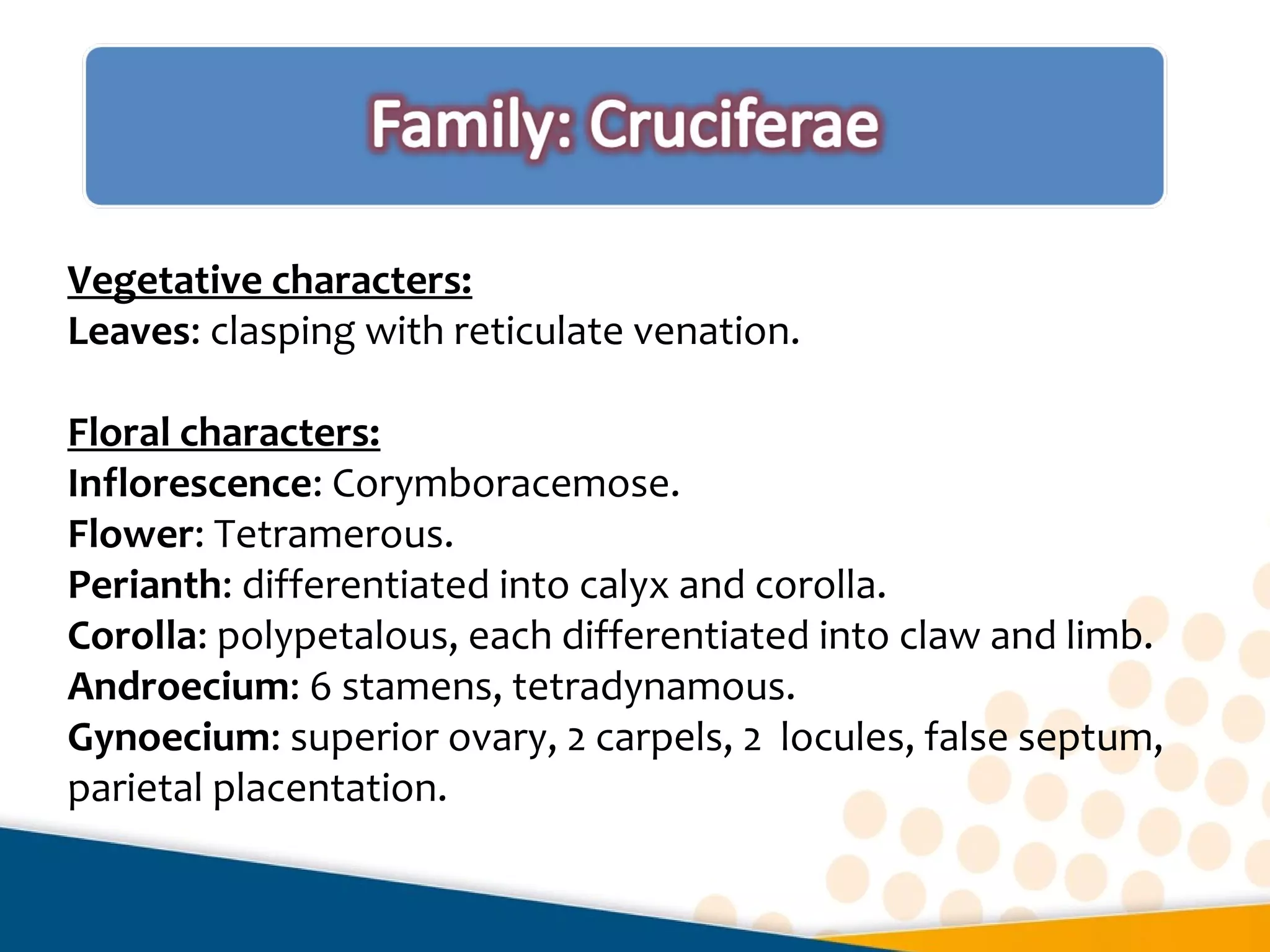 Practical flowering plant taxonomy all families | PPT