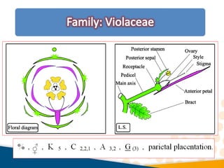 Practical flowering plant taxonomy all families | PPT