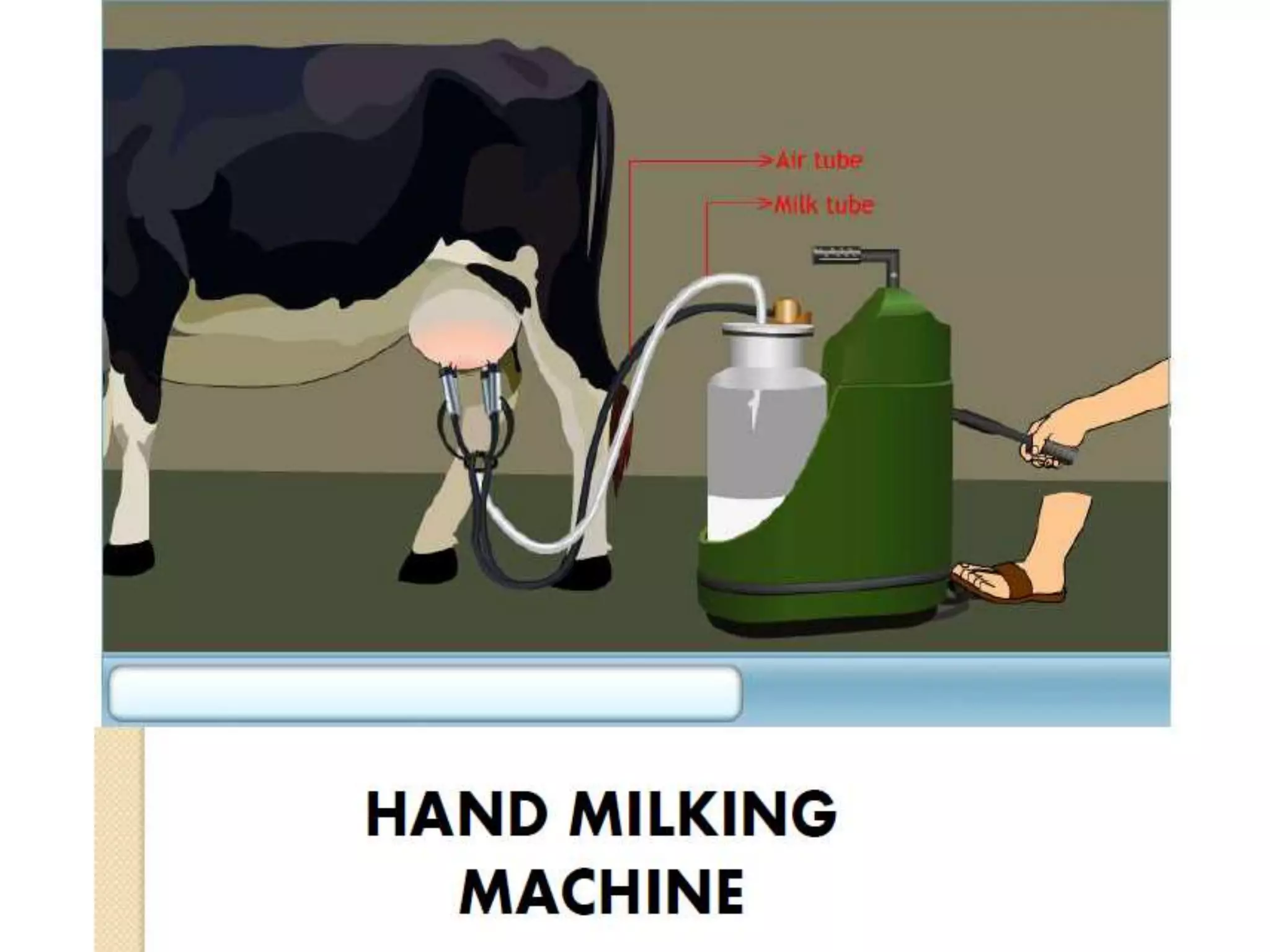Practical Unit 12 Clean milk production and milking methods.pptx