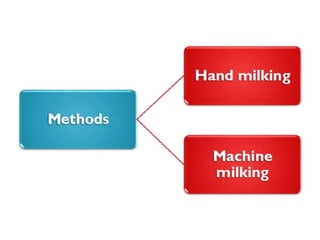 Practical Unit 12 Clean milk production and milking methods.pptx
